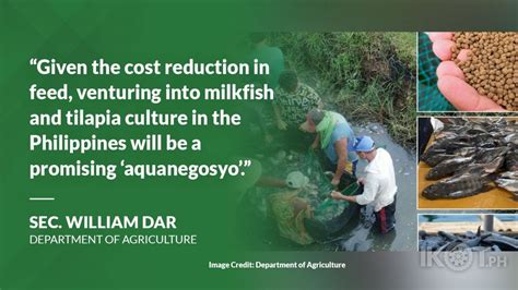 Da Develops Cheaper Feeds For Bangus Tilapia — Ikotph