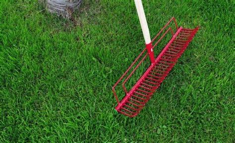 What Does A Lawn Leveling Rake Do