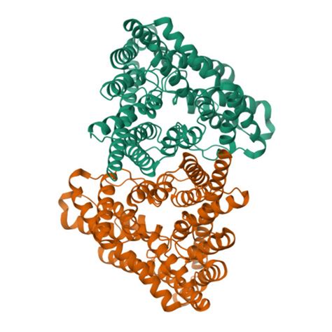 RCSB PDB 7RQ7 CLC Ec1 At PH 4 5 100mM Cl TWIST2