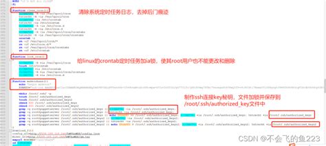 关于服务器被入侵植入病毒木马服务器植入文件 Csdn博客