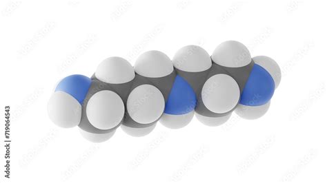 Spermidine Molecule Aliphatic Polyamine Molecular Structure Isolated 3d Model Van Der Waals