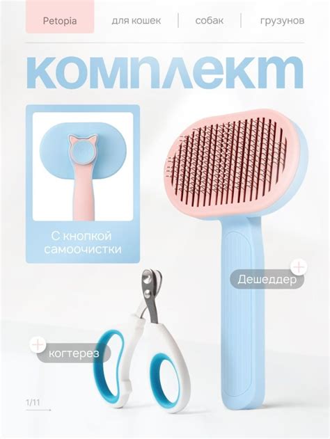 Набор для животных Инфографика Дизайн товаров Инфографика дизайн