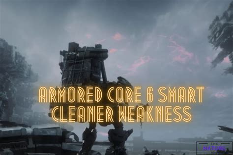 Smart Cleaner Weakness In Armored Core The Nature Hero