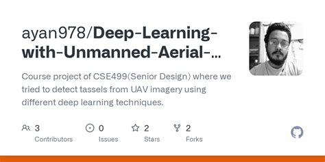 Deep Learning With Unmanned Aerial Vehicle Imagery In The Detection Of