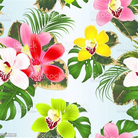 아름다운 다양한 난초 심비듐 손바닥 Philodendron 및 선인장 빈티지 벡터 일러스트 와 열대 꽃 꽃 꽂이와 원활한 질감