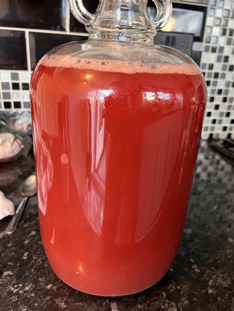 Apple And Raspberry Cider Incoming 🚀 R Cider