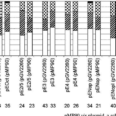 Schematic Outline Of The T Dnas In The Different Binary Pl Vectors The