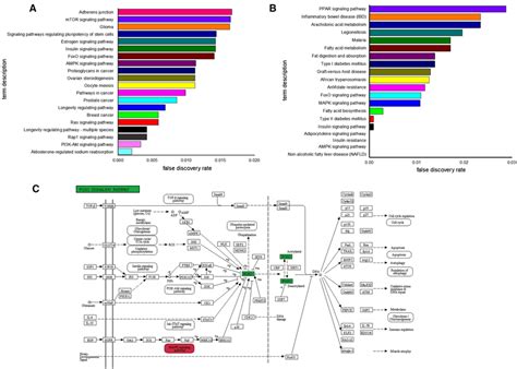 A Top 20 Kegg Pathways Of Breast Cancer B Top 20 Kegg Pathways Of