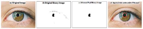 A Original Eye Image And B Binary Image With Thresholding C Download Scientific Diagram