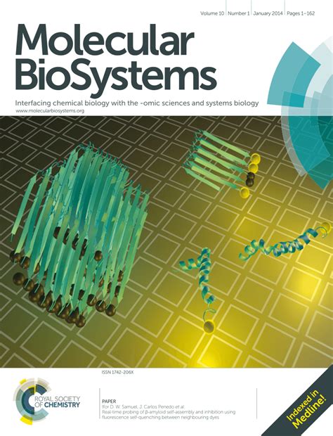 Pdf Real Time Probing Of β Amyloid Self Assembly And Inhibition Using