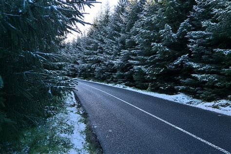 더블린 파노라마 뷰 포인트 킬라키 더블린 아일랜드에서 겨울 숲에서 아름답고 완벽한 아스팔트 도로 냉동 가문비 나무 0명에 대한 스톡 사진 및 기타 이미지 Istock