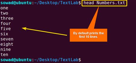 Linux 命令 Head 示例head显示指定行 Csdn博客 Linux 命令 Head 示例head显示指定行 Csdn博客