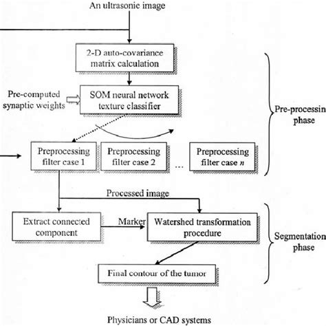 1 Preprocessing Procedure Illustrations Download Scientific Diagram