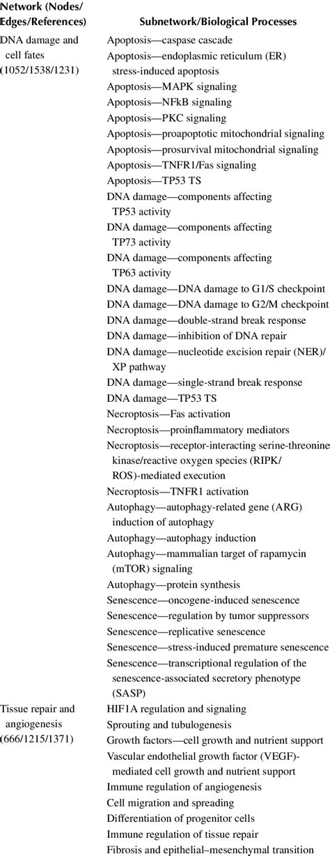 4 Continued Biological Network Models And Biological Processes Download Table