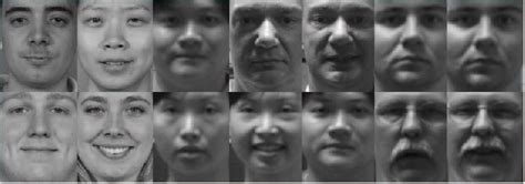 figure 3 from face recognition with salient local gradient orientation