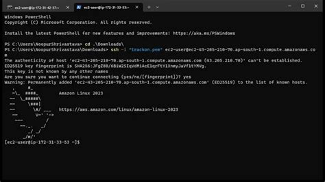 A Guide For Setting Up Nfs Server And Client On Linux Servers