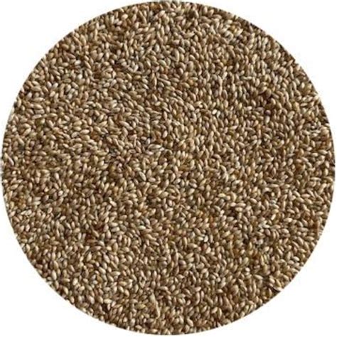 Timothy VNS Green Seed Ag LLC