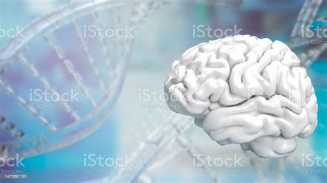 과학 또는 건강 및 의료 개념 3d 렌더링을 위한 Dna 배경의 흰색 뇌 비타민에 대한 스톡 사진 및 기타 이미지 비타민