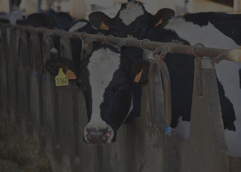 Discover The Innovative Features Of The Xfarm App