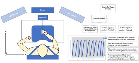 Experimental Protocol And Reaching Workspace All Data Collection