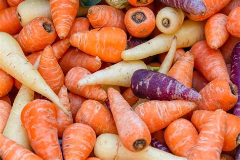 Different Types Of Carrots