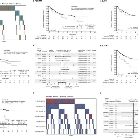 Mutational Analysis Of Selected Genes A Heatmap Of Selected Genes Based Download Scientific