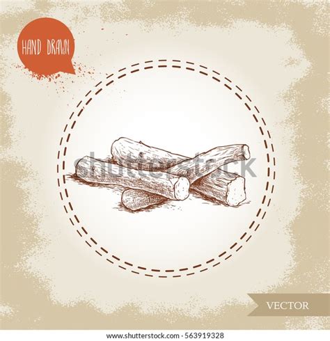 Hand Drawn Sketch Style Liquorice Roots Stock Vector Royalty Free