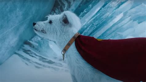 James Gunn Hints At Animated Krypto Spin Off Series In The Works For The DCU TechWiser