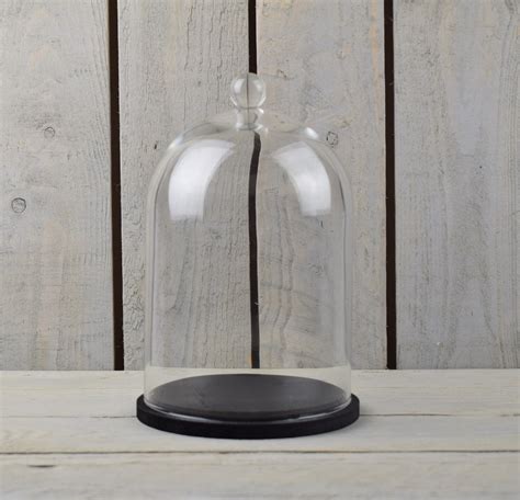 Emh Handmade Clear Circular Glass Cloche Dome Bell With Knob And Black