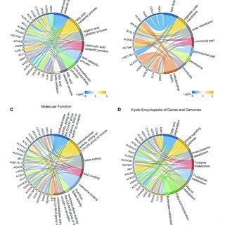 Gene Ontology GO And Kyoto Encyclopedia Of Genes And Genomes KEGG