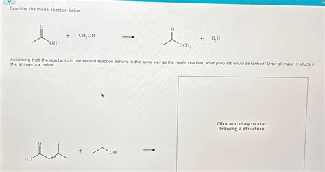 Solved Examine The Model Reaction Below Assuming That The Chegg