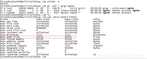 Nginx核心要领五：workerprocesses、workerconnections设置worker Processes Csdn博客