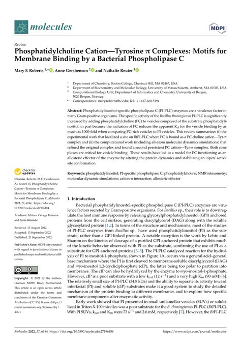 Pdf Phosphatidylcholine Cation—tyrosine π Complexes Motifs For