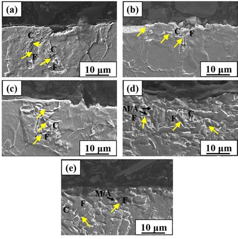 Sem Micrographs Of The Cross Section Of X70 Steel Post Polarization