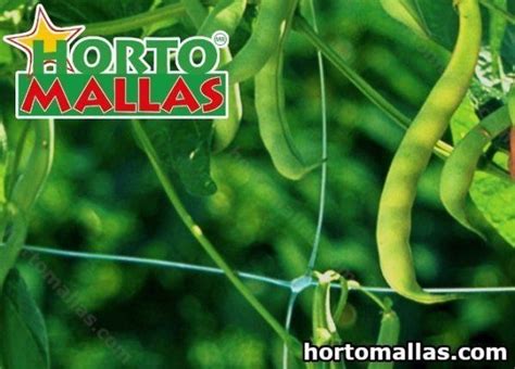 Bean Netting Hortomallas™ Supporting Your Crops®