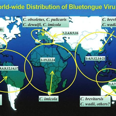 The Worldwide Distribution Of Bluetongue Virus Btv Serotypes And The Download Scientific