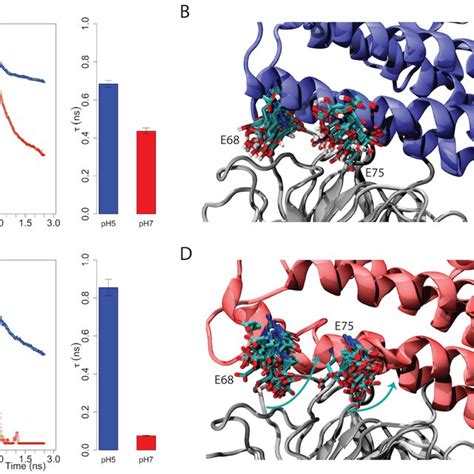 Pdf Structural And Dynamical Characterization Of The Ph Dependence Of The Pectin