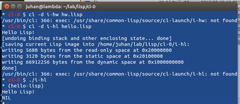 Lisp Cl Launch 0 Ok Panico