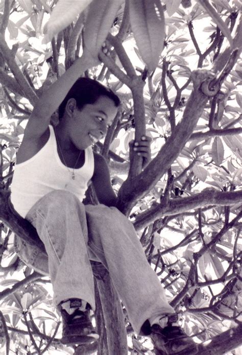 Free Tree Climber Harness Photos And Pictures Freeimages