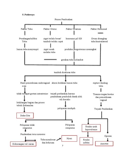 Komplikasi Kehamilan Ektopik Pdf