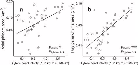 Relations Of Xylem Conductivity With A Axial Phloem Area And B Ray