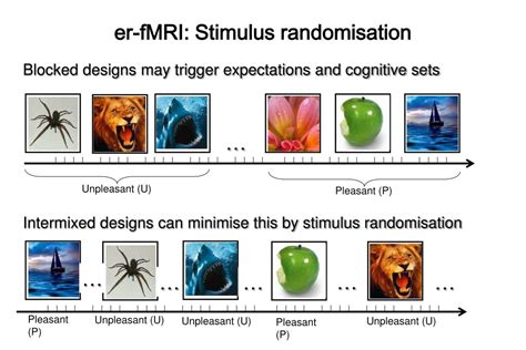 Ppt Event Related Fmri Er Fmri Powerpoint Presentation Free Download Id2496473
