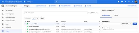 deploy private docker registry on gcp with nexus terraform and packer