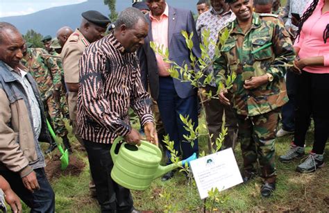 Form Cooperatives For Market Aggregation Cs Ndungu Kenya News Agency