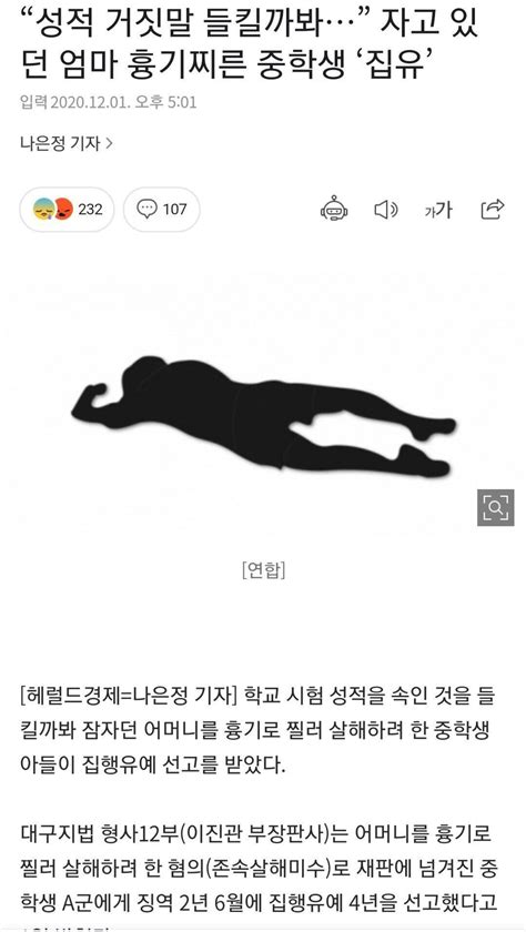 성적 거짓말 들킬까봐 엄마 칼로 찌른 중학생 유머 움짤 이슈 에펨코리아
