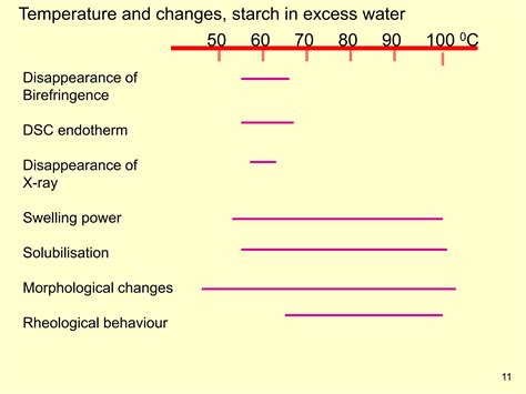 Starch Conversion Gelatinization Processing Ppt