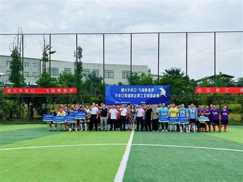 以球为媒 以赛促融 锦江区牛市口街道政企职工足球邀请赛开赛凤凰网