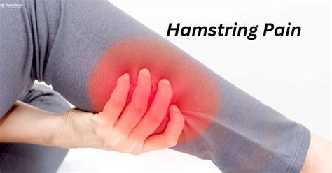 Hamstring Vs Sciatica Key Differences And Relief Tips
