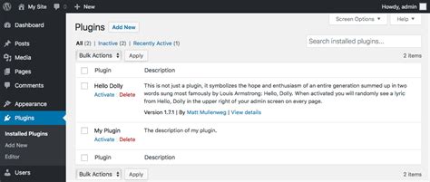 How To Write Basic Wordpress Plugin
