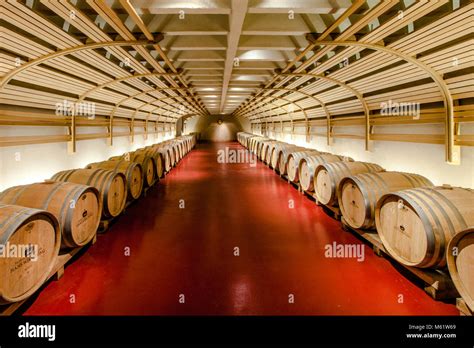 The Modern Part Of The Wine Cellar Only A Small Part Of The Wines Is